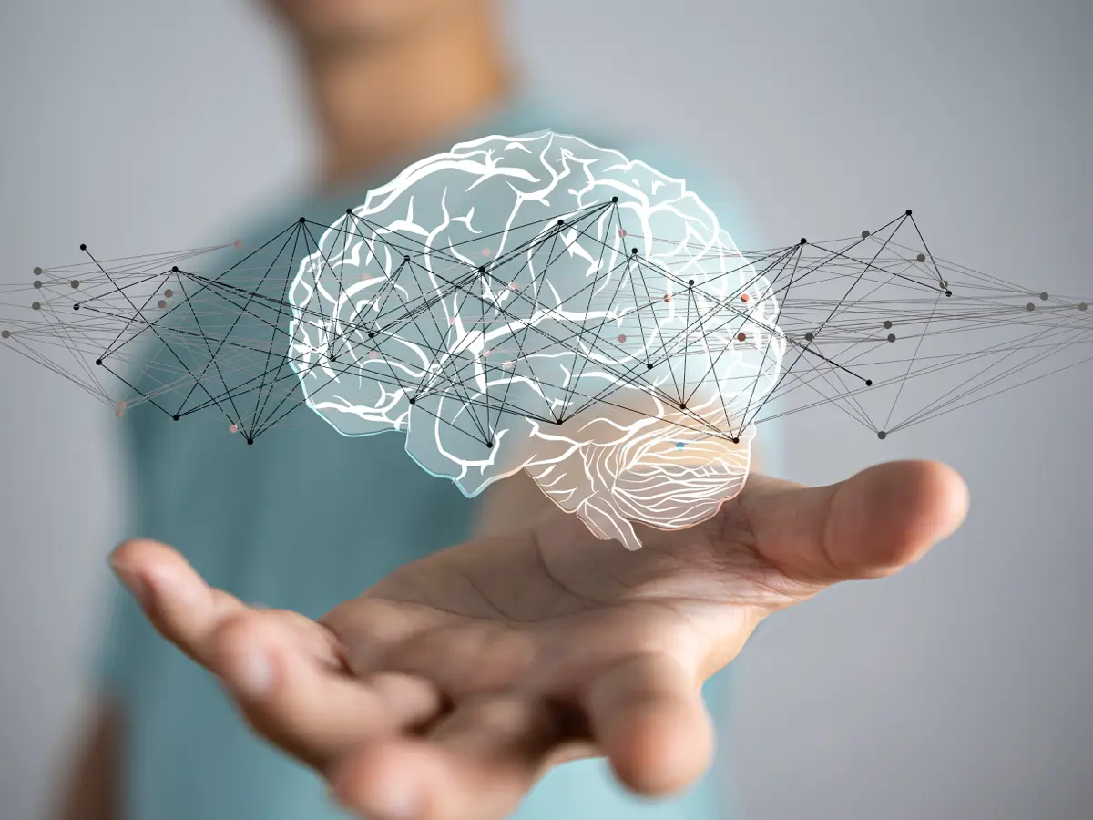 COEFICIENTE INTELECTUAL: Qué Es, Cómo Se Mide, Test Y, 44% OFF COEFICIENTE INTELECTUAL: Qué Es, Cómo Se Mide, Test Y, 44% OFF